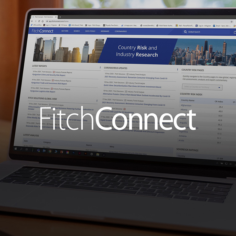 History | Fitch Group